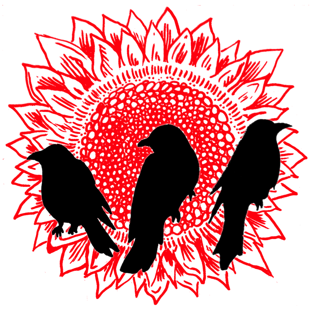 The Sexy Murders / Drinking Mercury split – out now! | GTG RECORDS